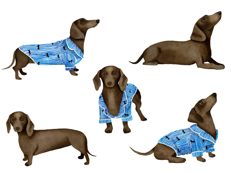Lotta Pajama Collection - Dachshund Themed Cotton Pajamas | Dupper